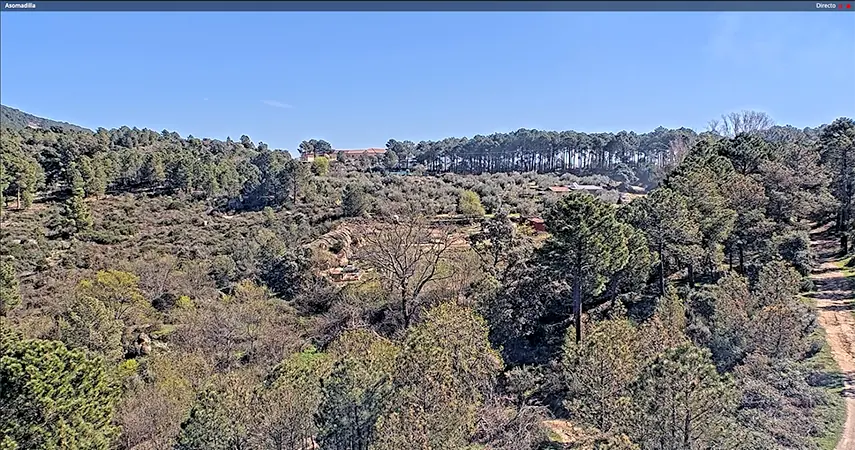 Forest Video Surveillance Systems to Combat Wildfires - Vexiza